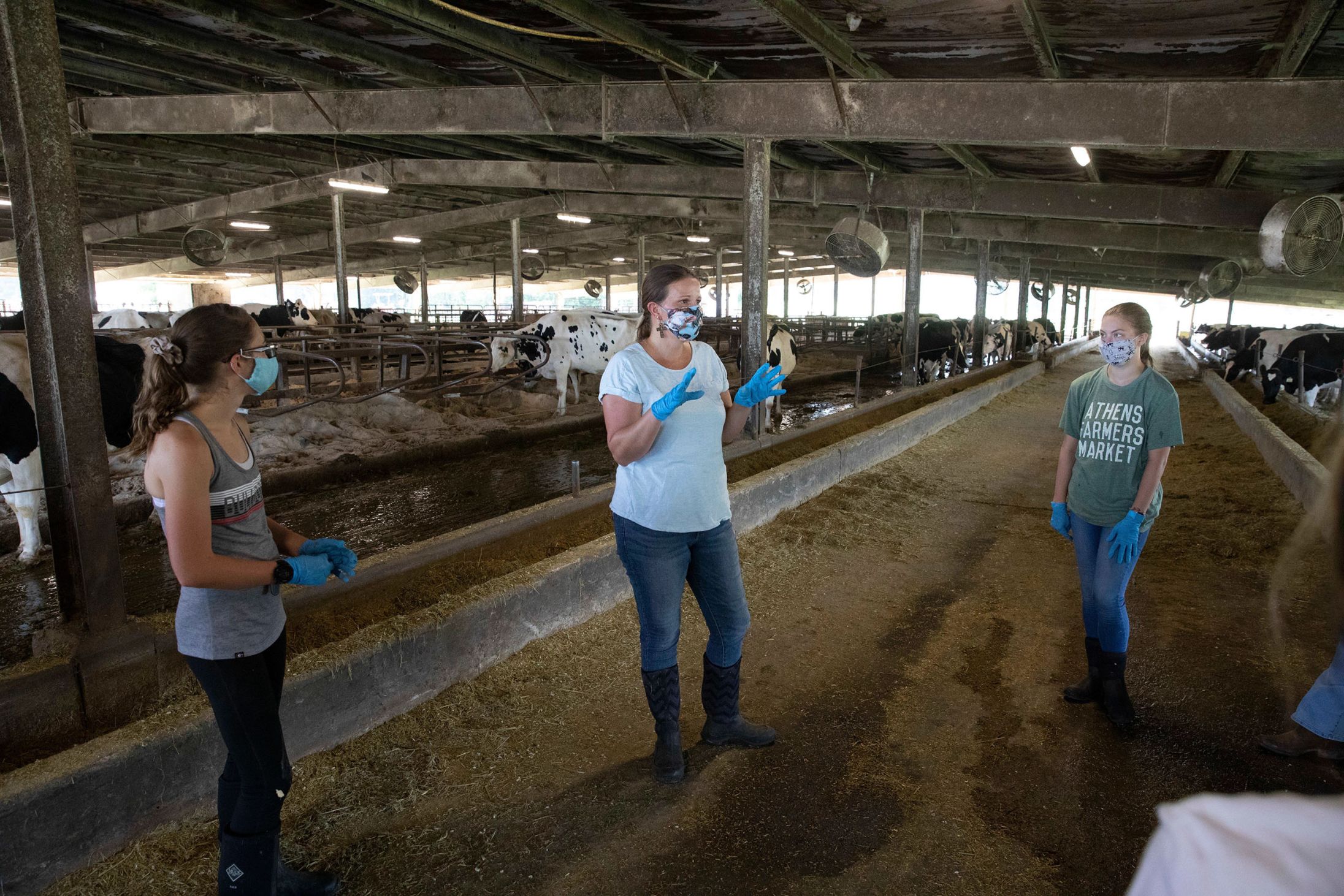 ANIMAL & DAIRY SCIENCE